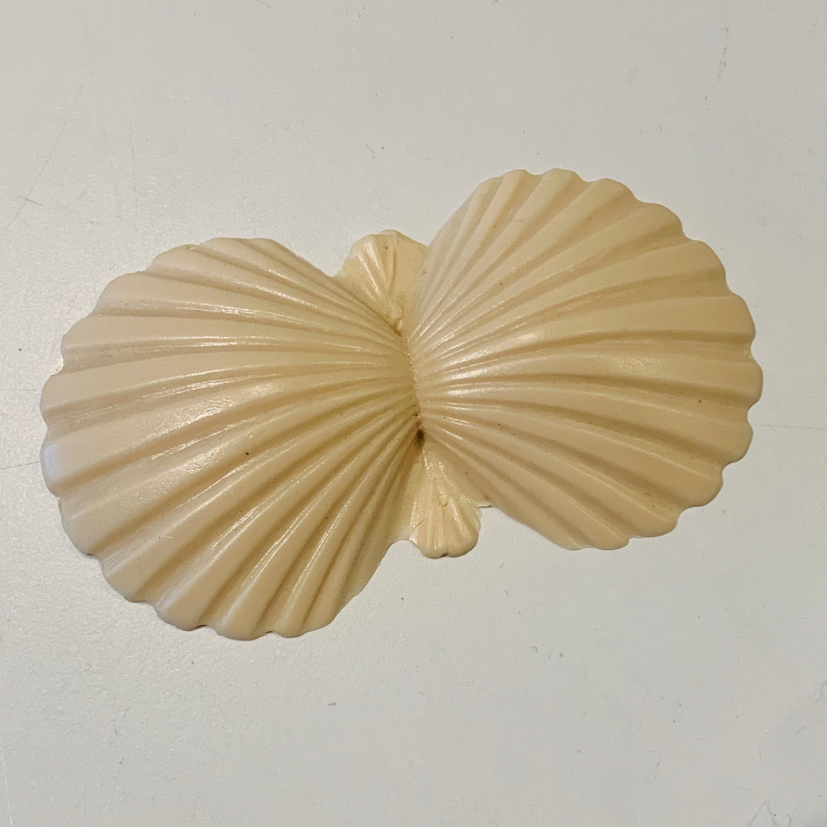 [Outlet] Scallop Shell Double Carving -3 1/2 in. – GrayMist Shops